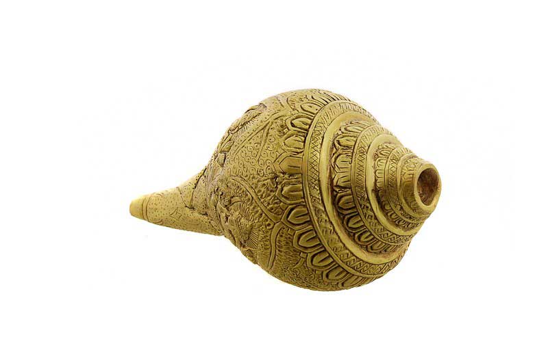 Conque Dakshinavarta -Instrument de musique coquillage-Dung kar-Tibet