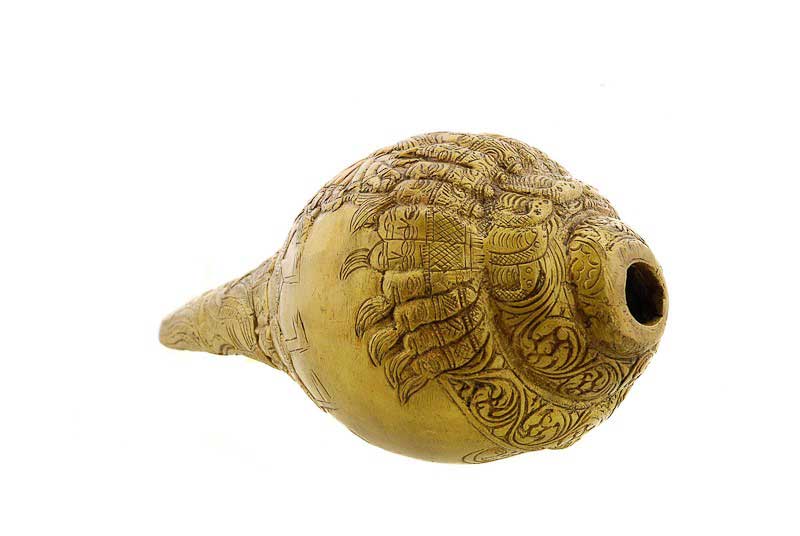 Conque Dakshinavarta -Instrument de musique coquillage-Dung kar-Tibet