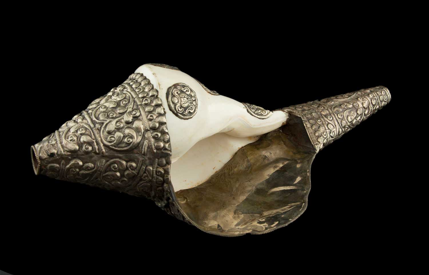 Conque Dakshinavarta -Instrument de musique coquillage-Dung kar-Tibet