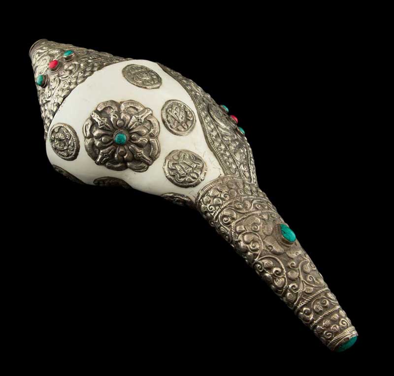 Conque Dakshinavarta -Instrument de musique coquillage-Dung kar-Tibet