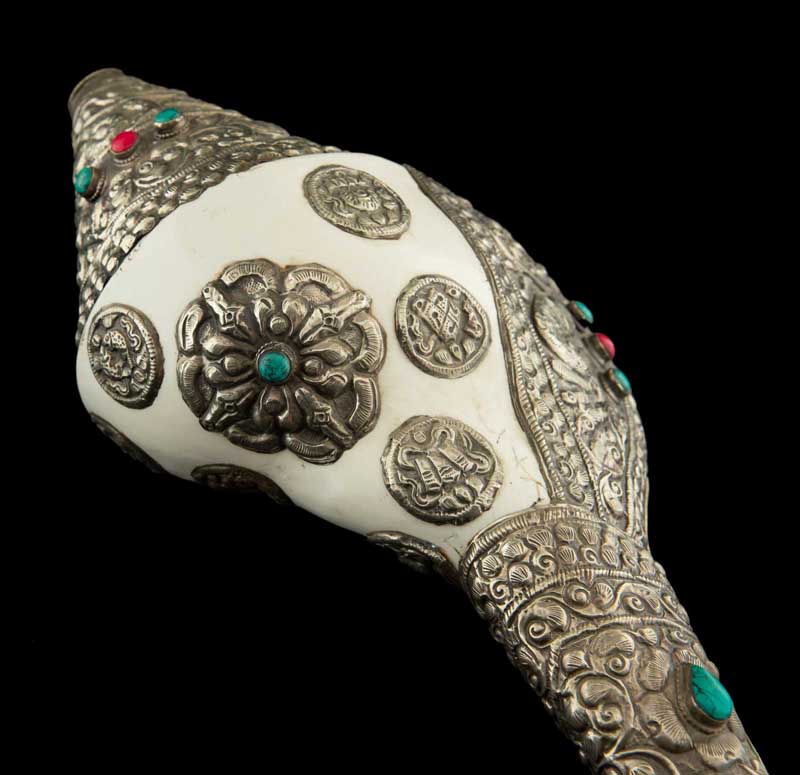 Conque Dakshinavarta -Instrument de musique coquillage-Dung kar-Tibet