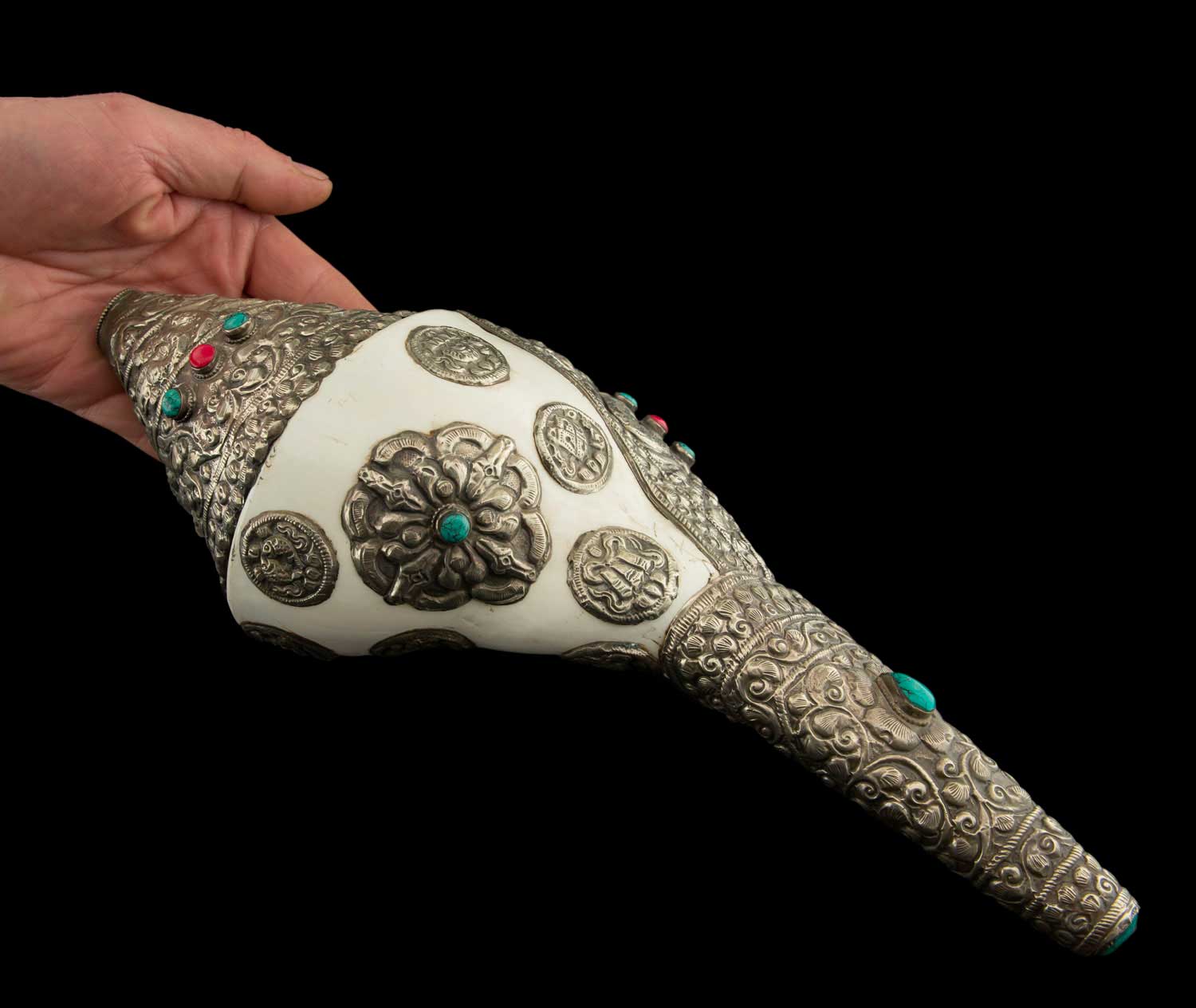 Conque tibetaine-Instrument de musique coquillage-DungDkar-Tibet