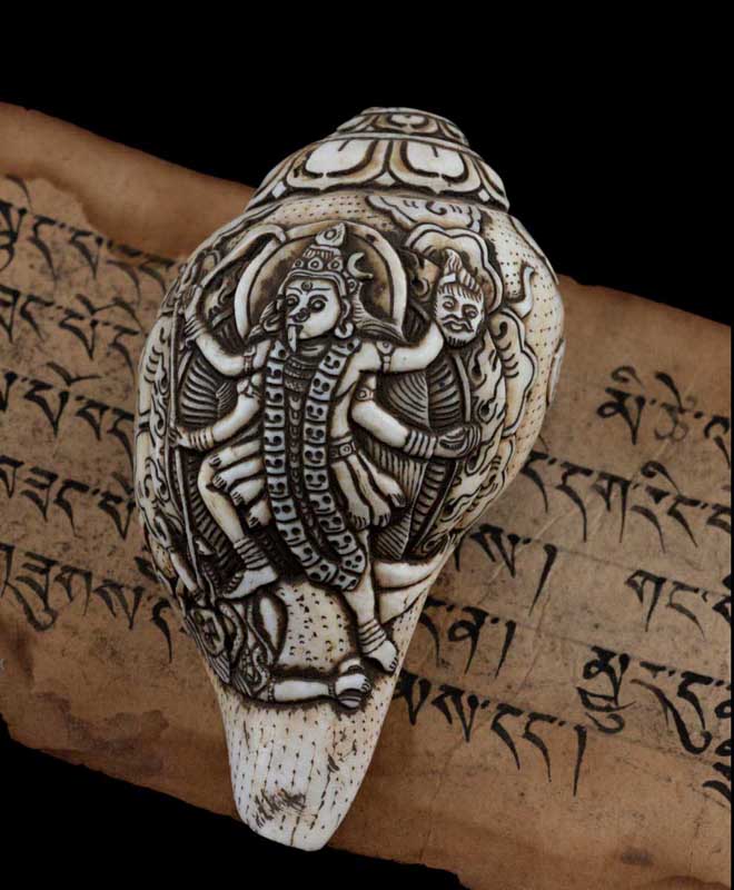 Conque blanche Divinité Hindoue Kali Mahakali Instrument de musique ...