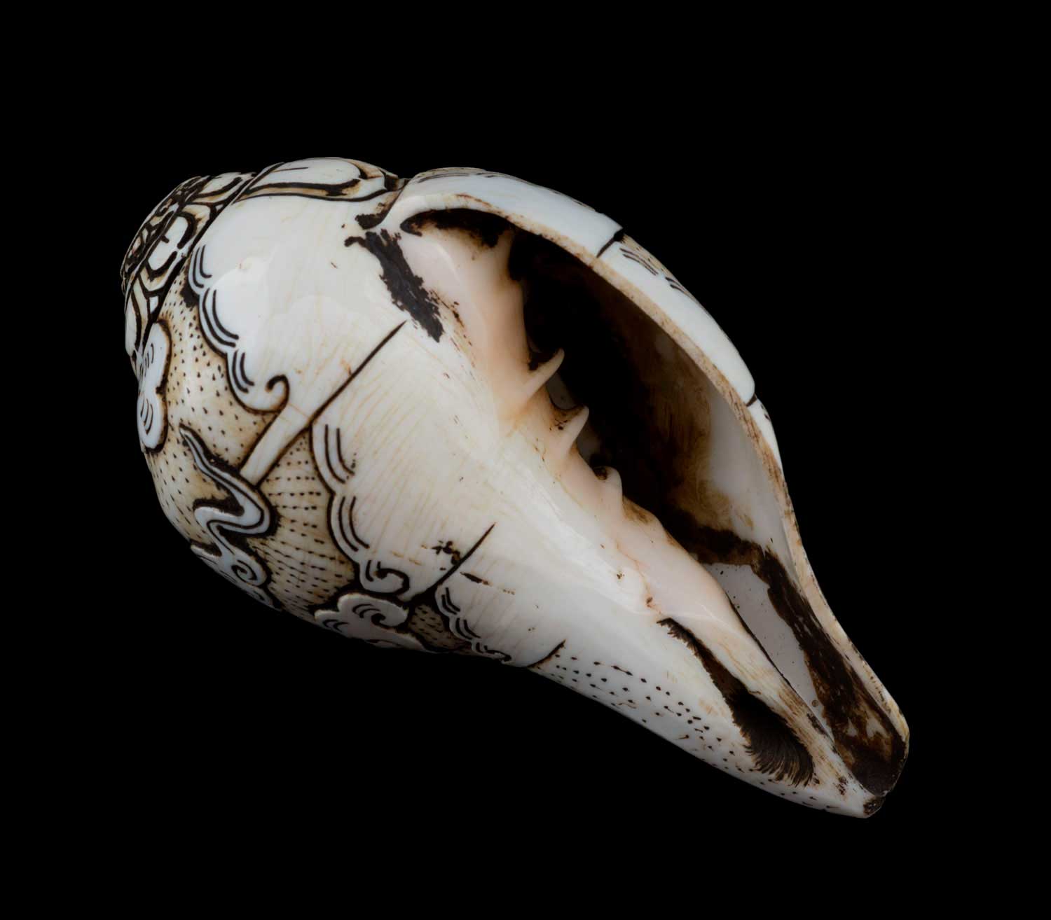 Conque blanche Divinité Hindoue Kali Mahakali Instrument de musique ...