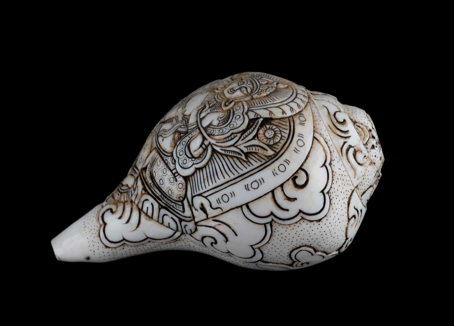 Conque Dakshinavarta -Instrument de musique coquillage-Dung kar-Tibet
