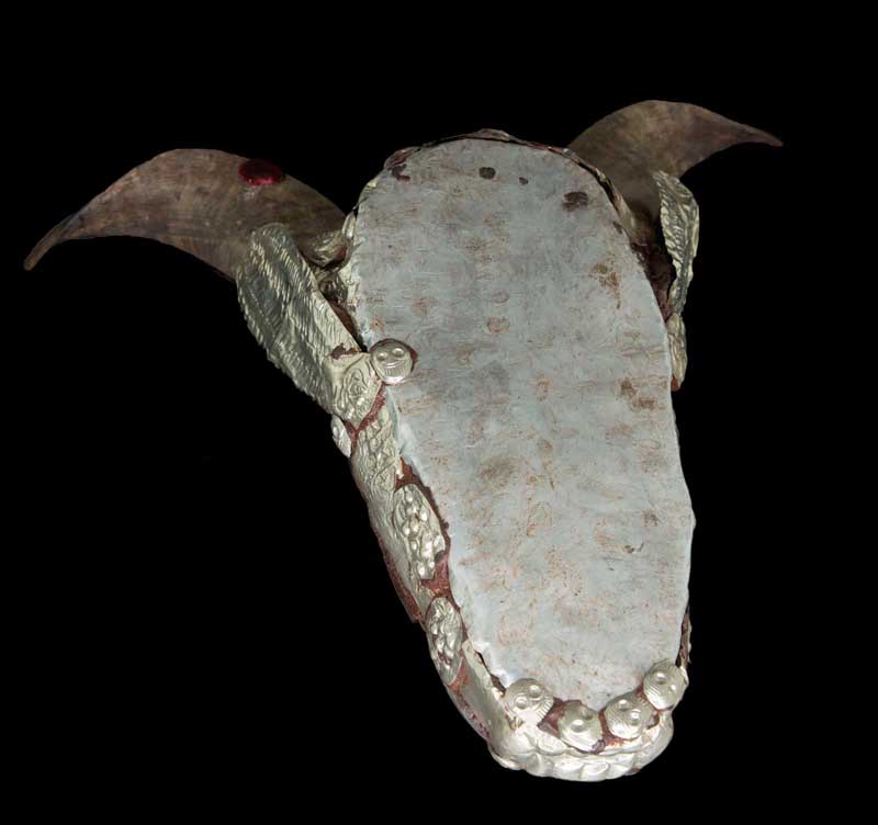 Goat Kapala tibetain crane Chevre Rituel tantrique Jhakri Chamane Nepal 54