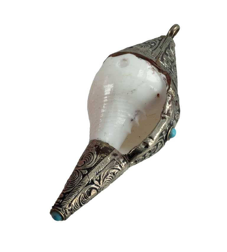 Conque Dakshinavarta -Instrument de musique coquillage-Dung kar-Tibet