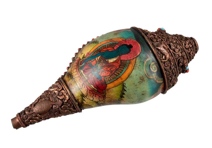 Conque Dakshinavarta -Instrument de musique coquillage-Dung kar-Tibet