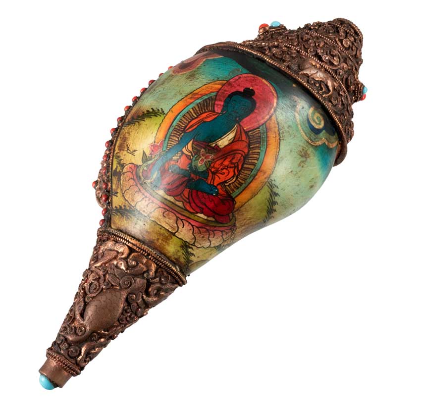 Conque Dakshinavarta -Instrument de musique coquillage-Dung kar-Tibet