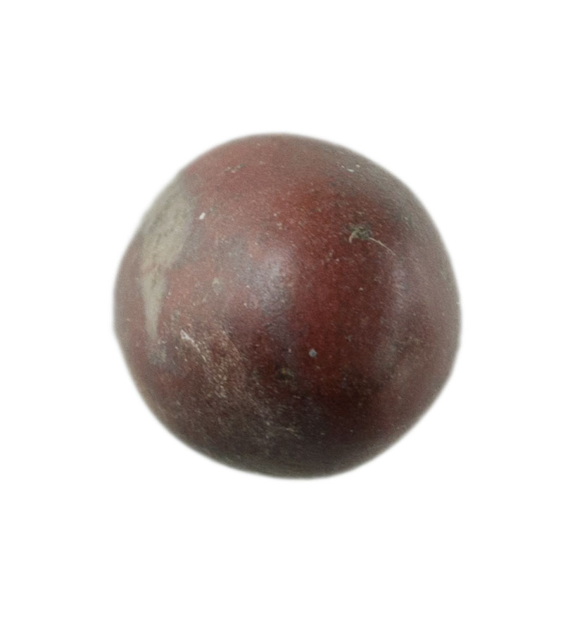 Shiva Lingam Pierre sacrée de l'Inde - Banalinga ou Narmada Shiva Lingham