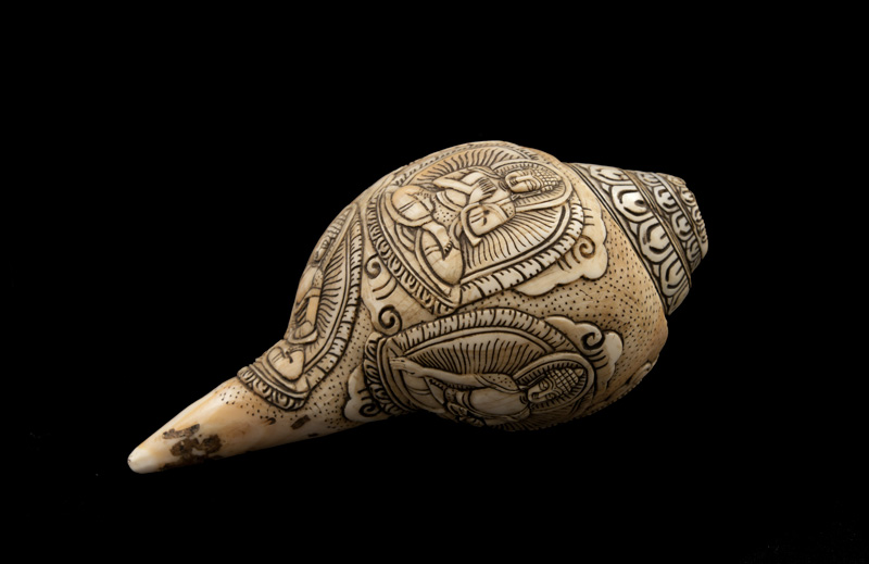 Conque tibetaine-Instrument de musique coquillage-DungDkar-Tibet