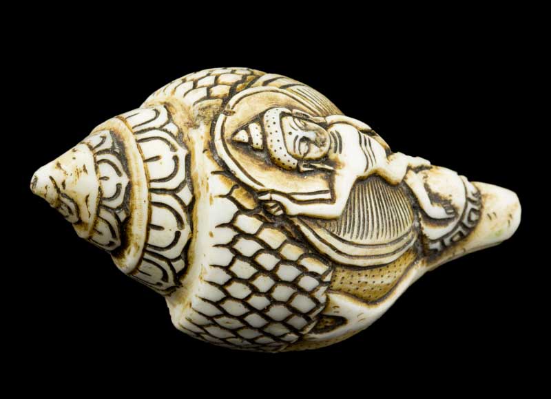 Conque tibetaine-Instrument de musique coquillage-DungDkar-Tibet