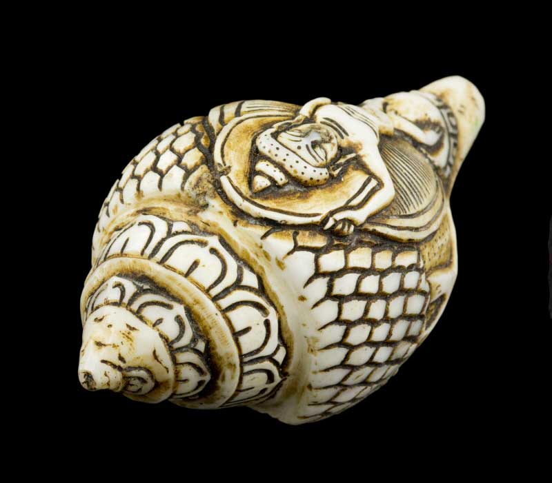 Conque tibétaine Dungkar Bouddha - Rareté Mystique Népalaise