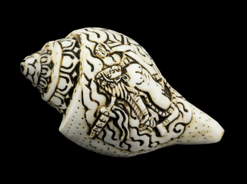 Conque Dakshinavarta -Instrument de musique coquillage-Dung kar-Tibet