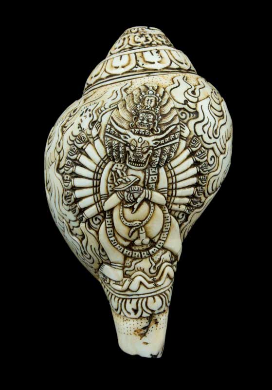 Conque Bouddhiste Yamantaka - Shanka Trésor du Népal