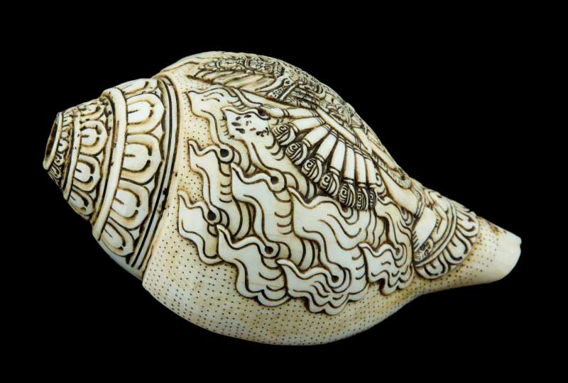 Conque tibetaine-Instrument de musique coquillage-DungDkar-Tibet