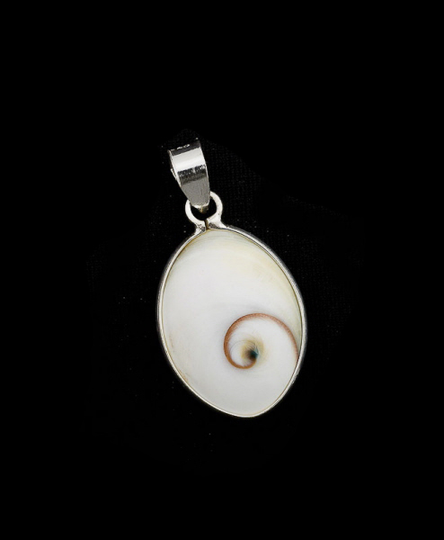 Pendentif Oeil de Sainte Lucie ou de Shiva - Coquillage et argent 925 - K33