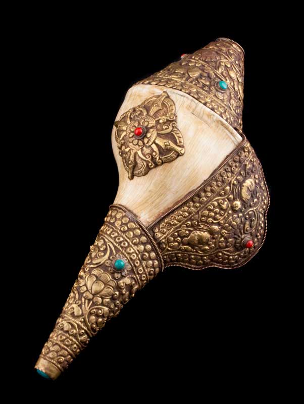 CONQUE TIBETAINE DUNG-DKAR-COQUILLAGE INSTRUMENT MUSIQUE RITUEL 6200 B15