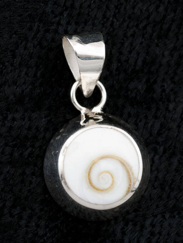 Pendentif Oeil de Sainte Lucie / Shiva- Coquillage- Argent massif 925