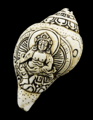 Conque Dakshinavarta -Instrument de musique coquillage-Dung kar-Tibet