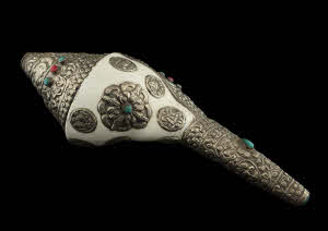 Conque Dakshinavarta -Instrument de musique coquillage-Dung kar-Tibet