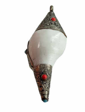 Conque Dakshinavarta -Instrument de musique coquillage-Dung kar-Tibet