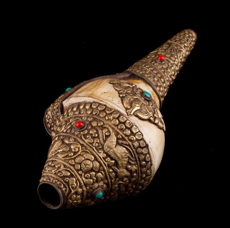 Conque Dakshinavarta -Instrument de musique coquillage-Dung kar-Tibet